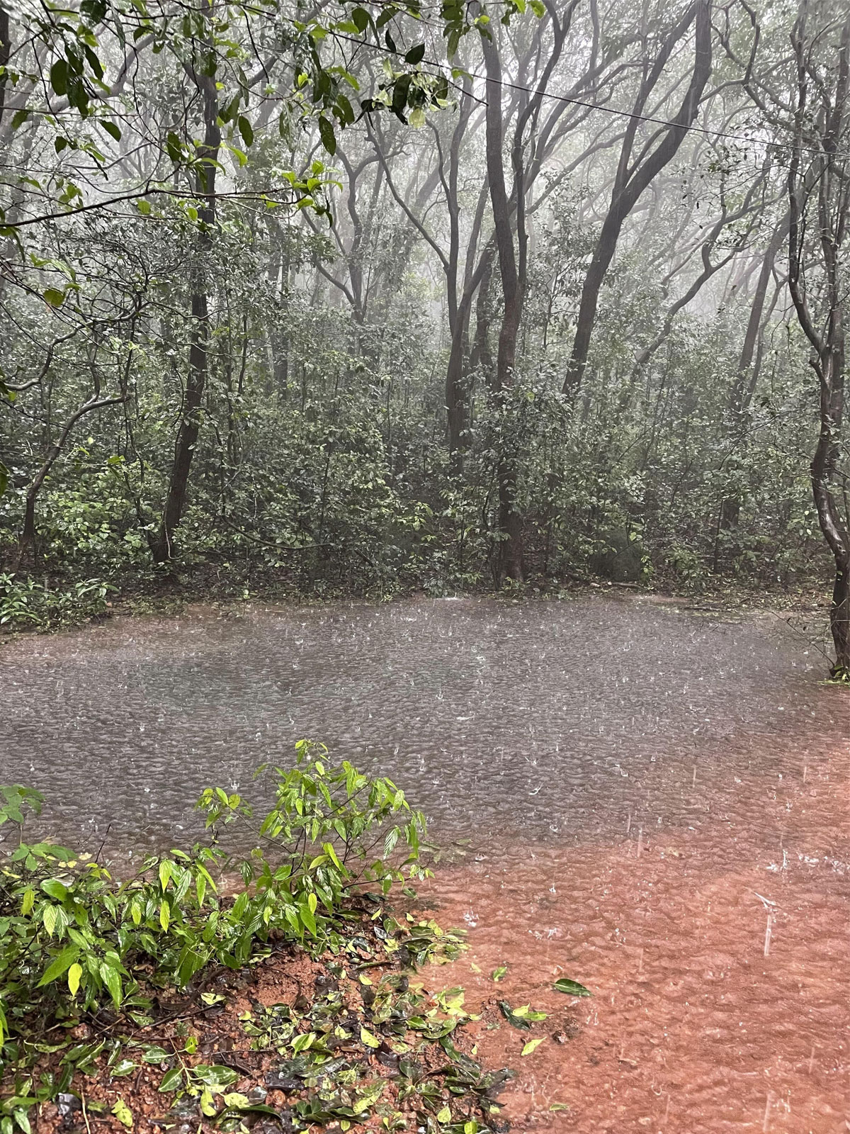 Matheran Trek | Compass Holidays & Adventure